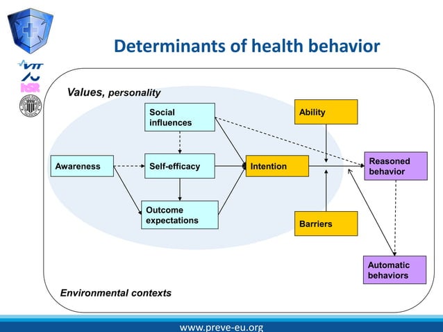 pHealth - User profiling and segmentation | PDF