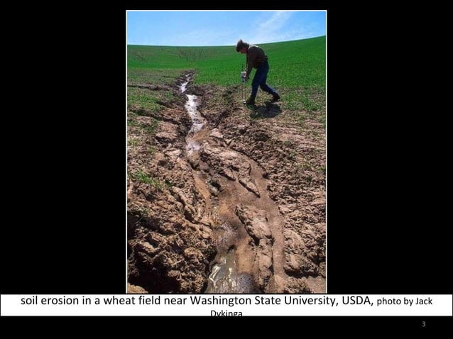 Why Clark University Geography? | PPT