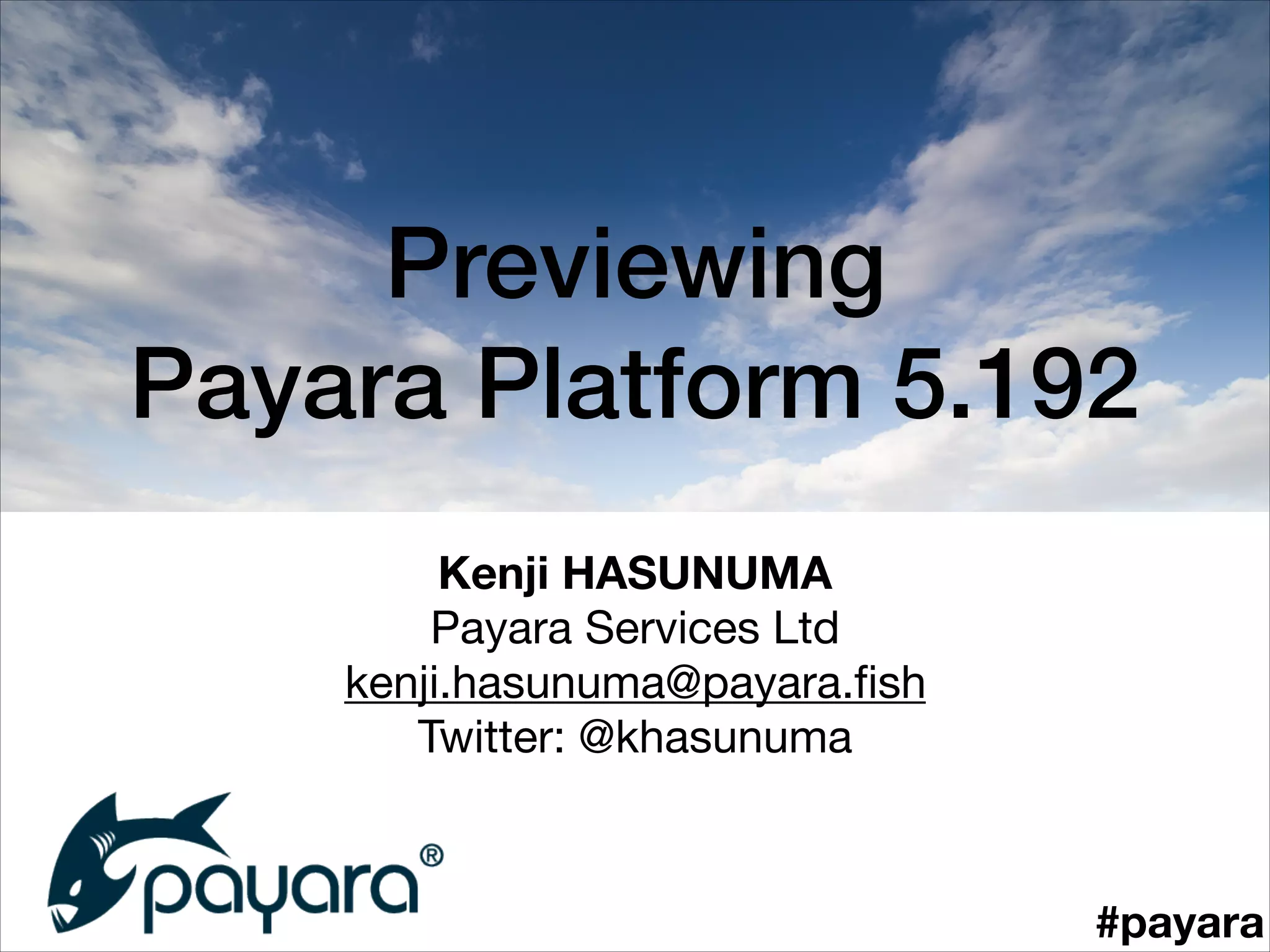 Previewing Payara Platform 5.192