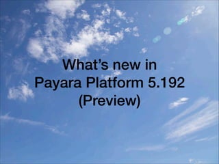 Previewing Payara Platform 5.192