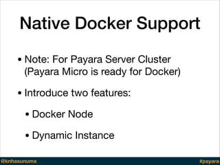 Previewing Payara Platform 5.192