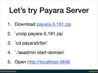 Previewing Payara Platform 5.192