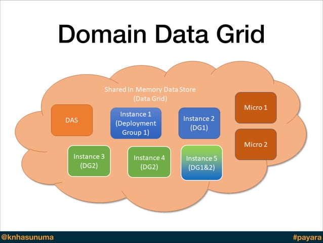 Previewing Payara Platform 5.192