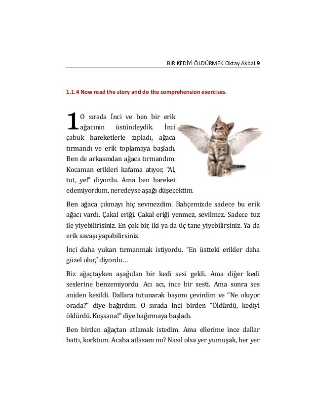 Turkish Reading Books - Turkish Short Stories 1 (Pre-intermediate)