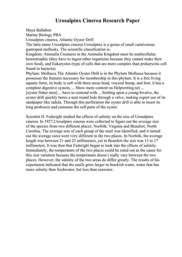 Pre Written Essays. 001 Essay Example Professional Thatsnotus | PDF ...