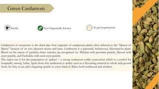 BAY LEAF AND BLACK CARDAMOM By P R Exports Limited | PDF