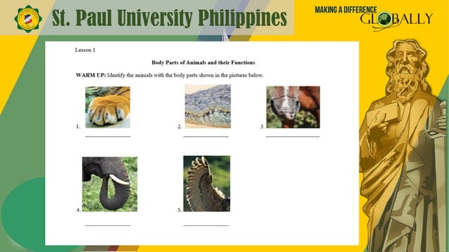 (Grade 3- Animals and Grade 4 Plants.pptx