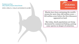Prey and predators and role of shark | PPTX