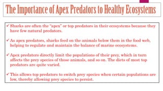 Prey and predators and role of shark | PPTX