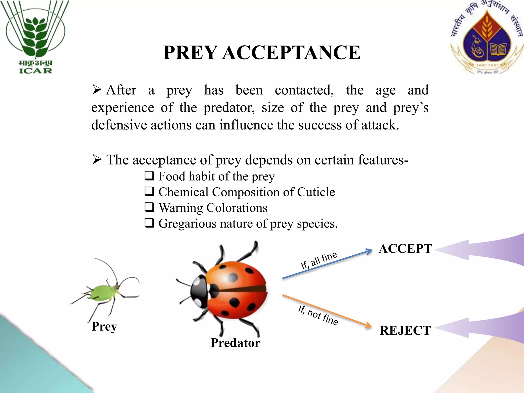 Prey Seeking Behavior of Predators.pptx | Gardening | Home & Garden