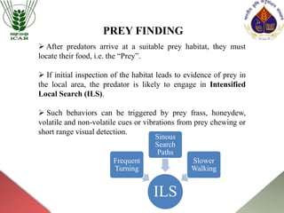 Prey Seeking Behavior of Predators.pptx