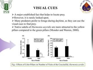 Prey Seeking Behavior of Predators.pptx