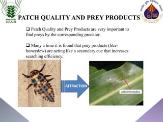 Prey Seeking Behavior of Predators.pptx