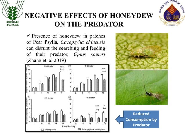 Prey Seeking Behavior of Predators.pptx | Gardening | Home & Garden