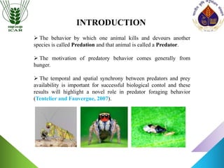 Prey Seeking Behavior of Predators.pptx