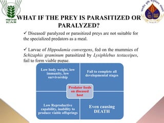 Prey Seeking Behavior of Predators.pptx