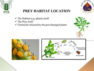 Prey Seeking Behavior of Predators.pptx