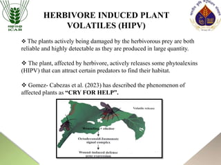 Prey Seeking Behavior of Predators.pptx