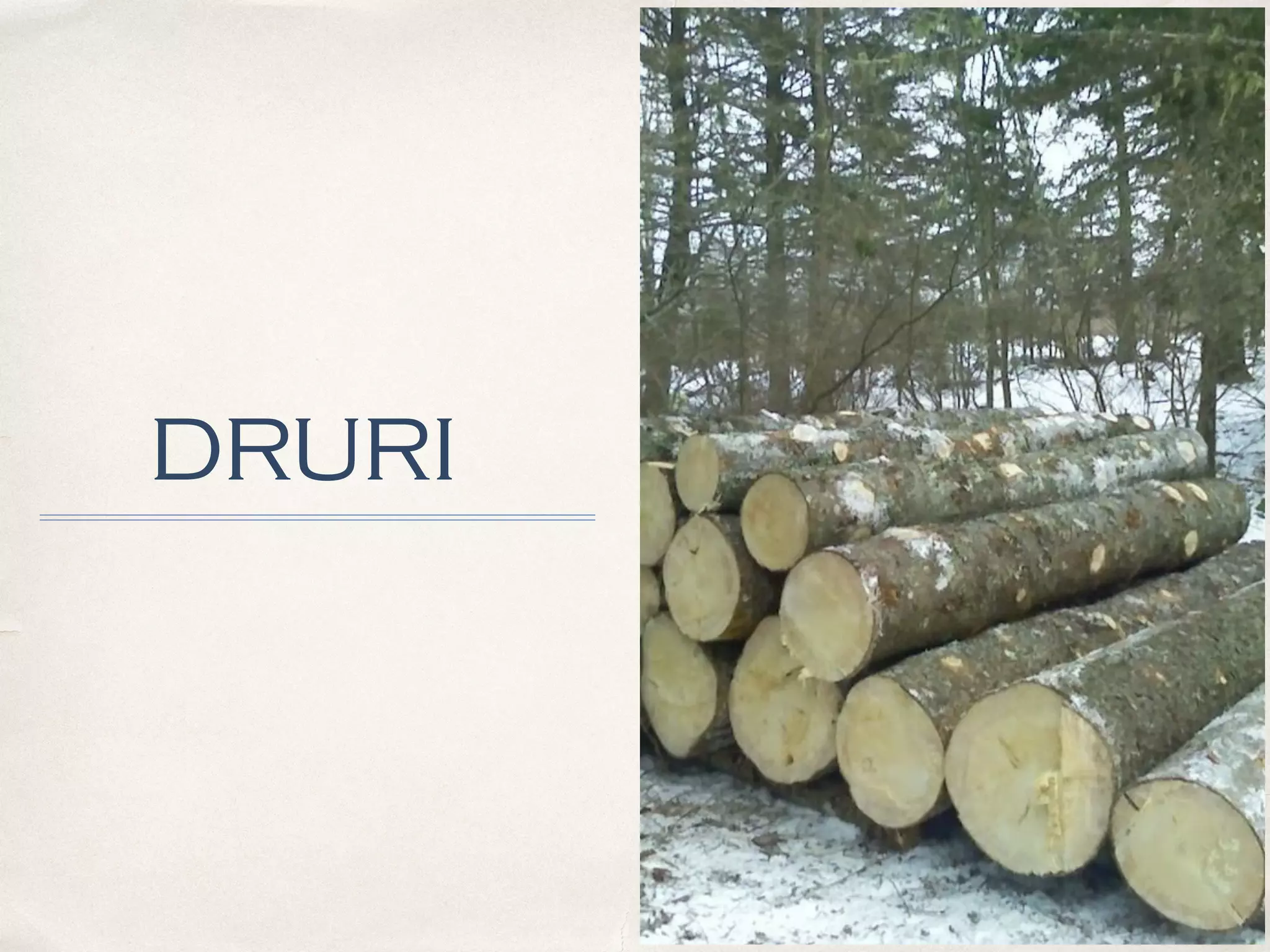 DRURI ne Arkitekture | PDF