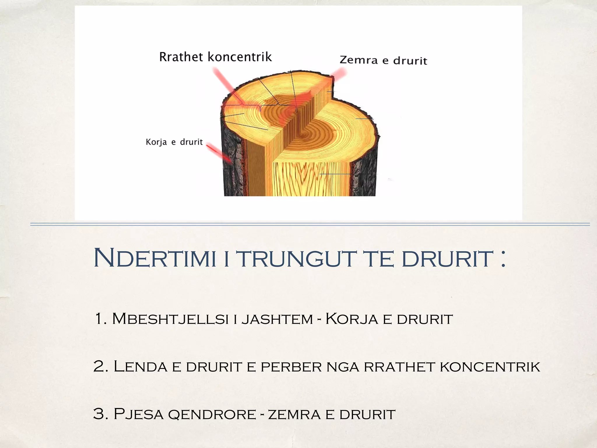 DRURI ne Arkitekture | PDF