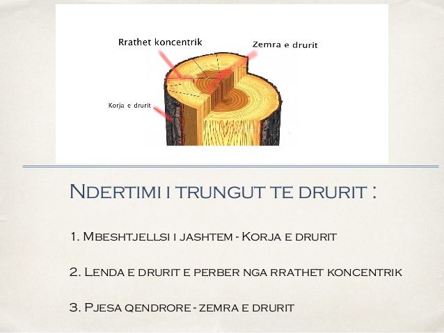 DRURI ne Arkitekture