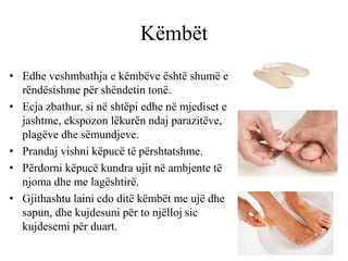 Prezantimi Higjiena Personale 2015 - KKSH dega Tirane | PPTX