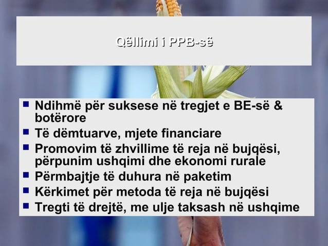 Prezantimi ppb eu | PPT