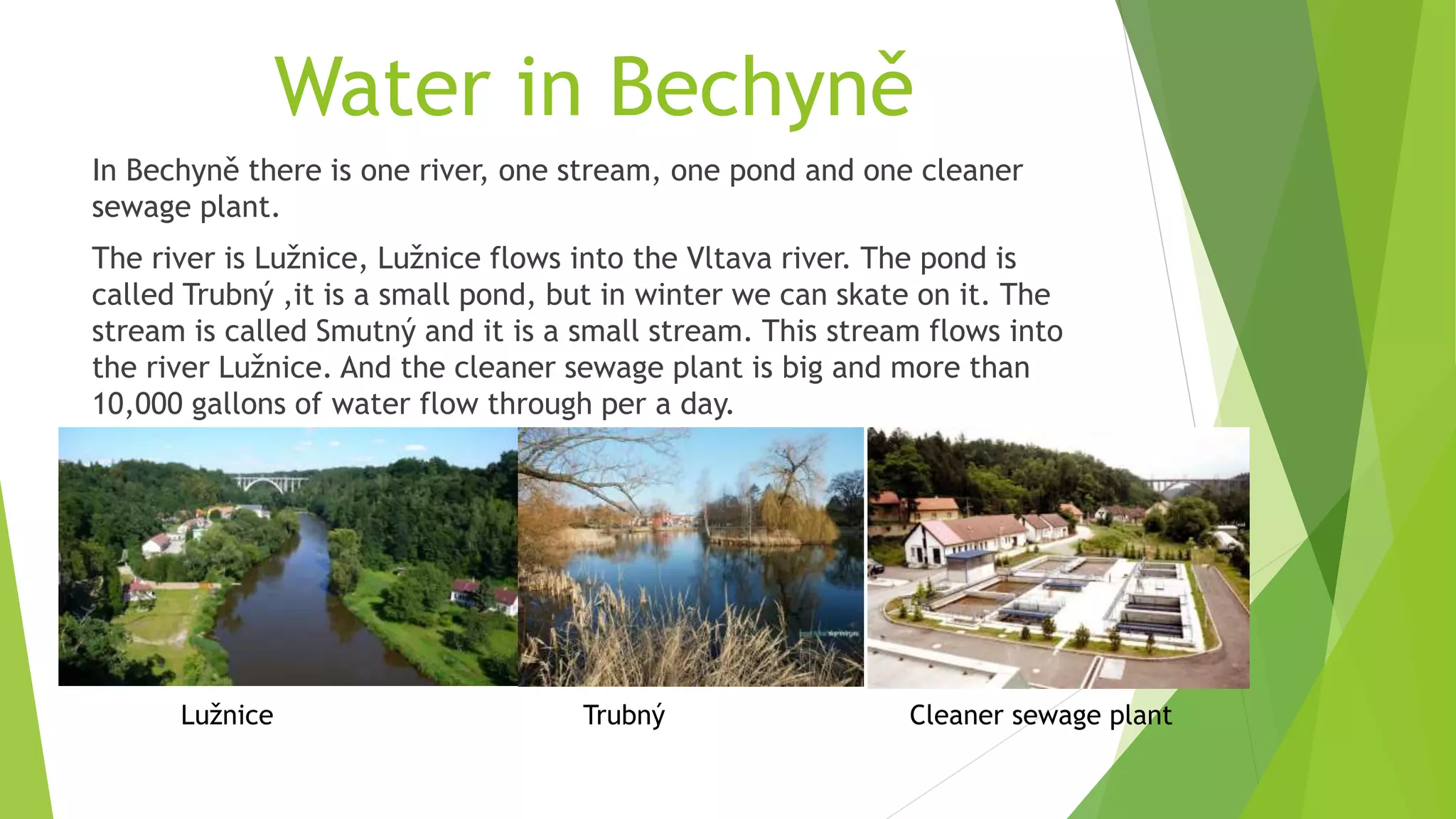 Antropological aspects CZ | PPTX