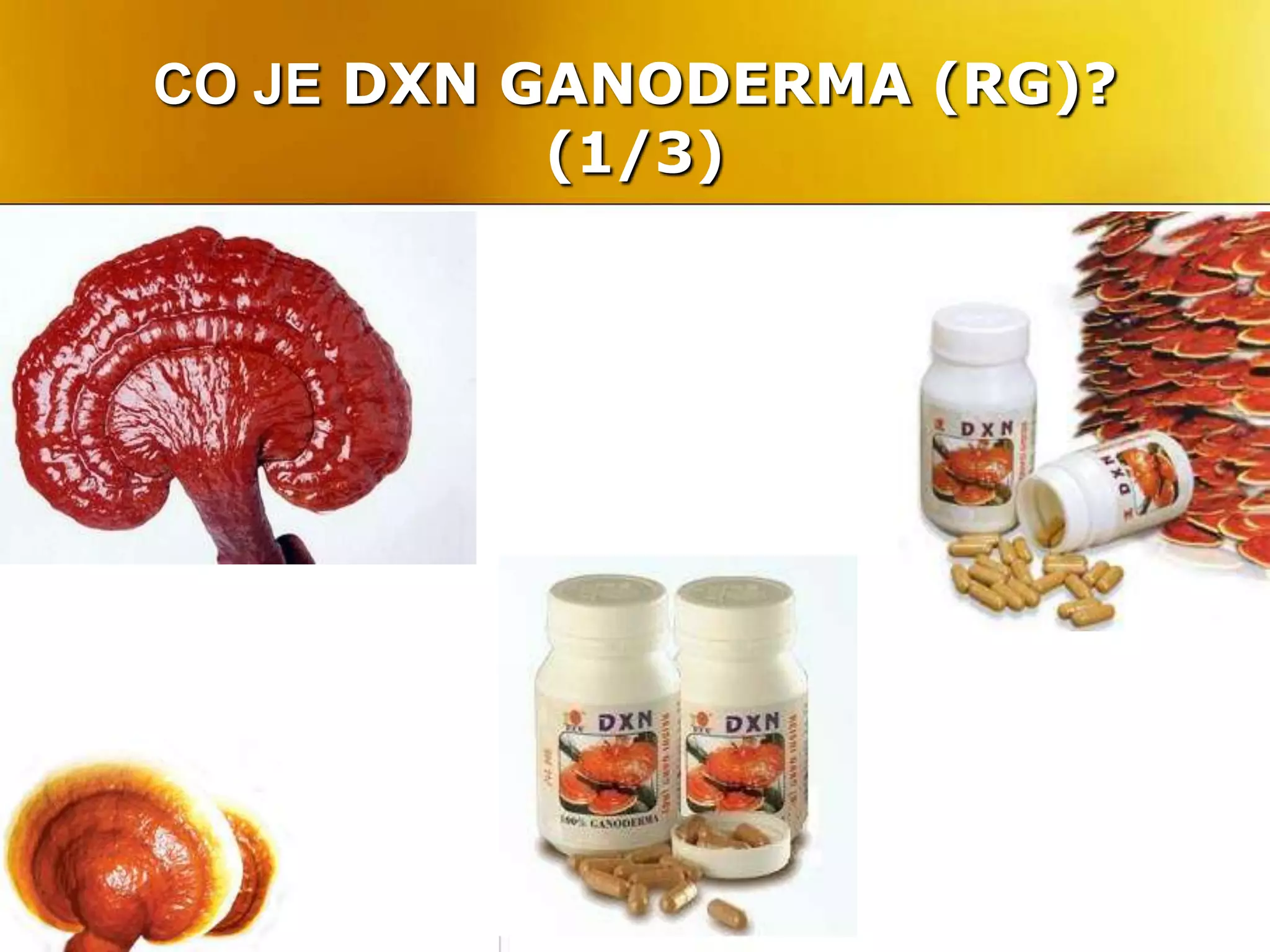 Prezentace ganoderma | PDF