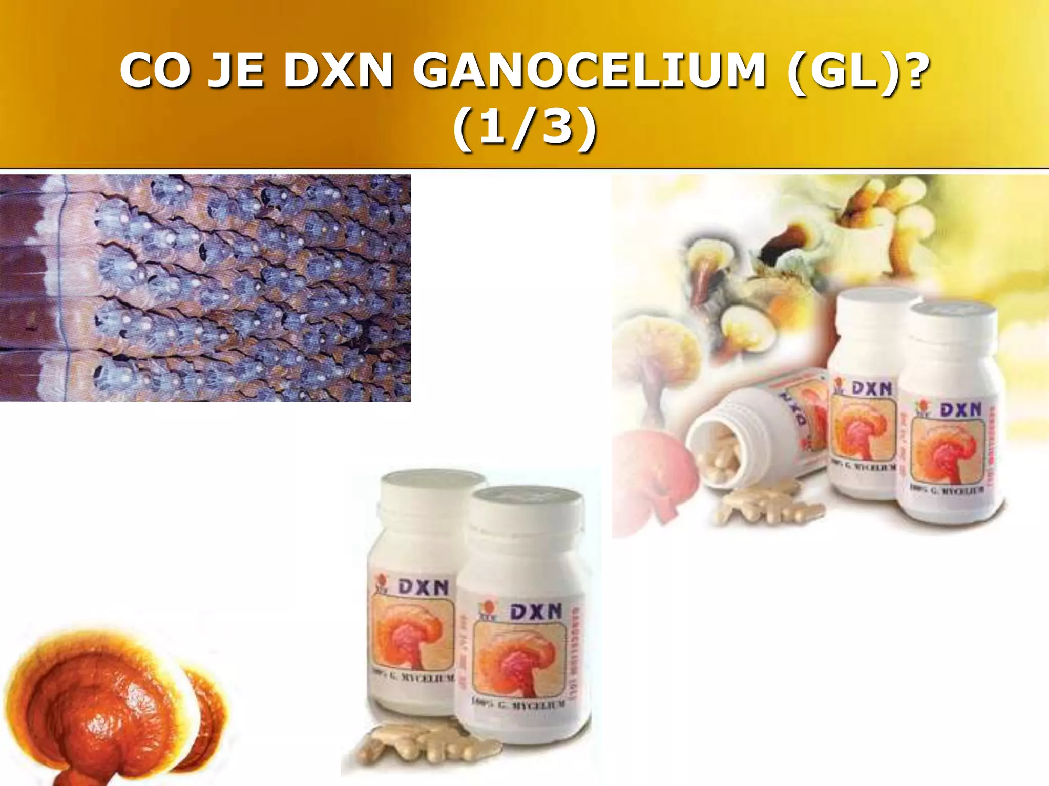 Prezentace ganoderma | PDF