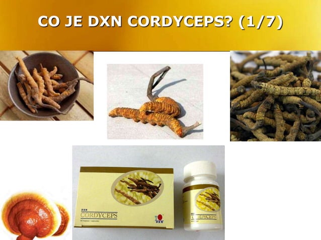 Prezentace ganoderma | PDF