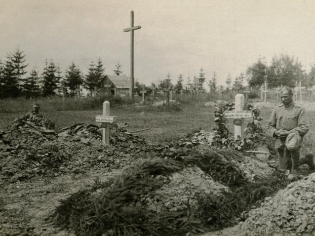 The Forgotten Soldier The Centenary of the First World War in Croatia ...