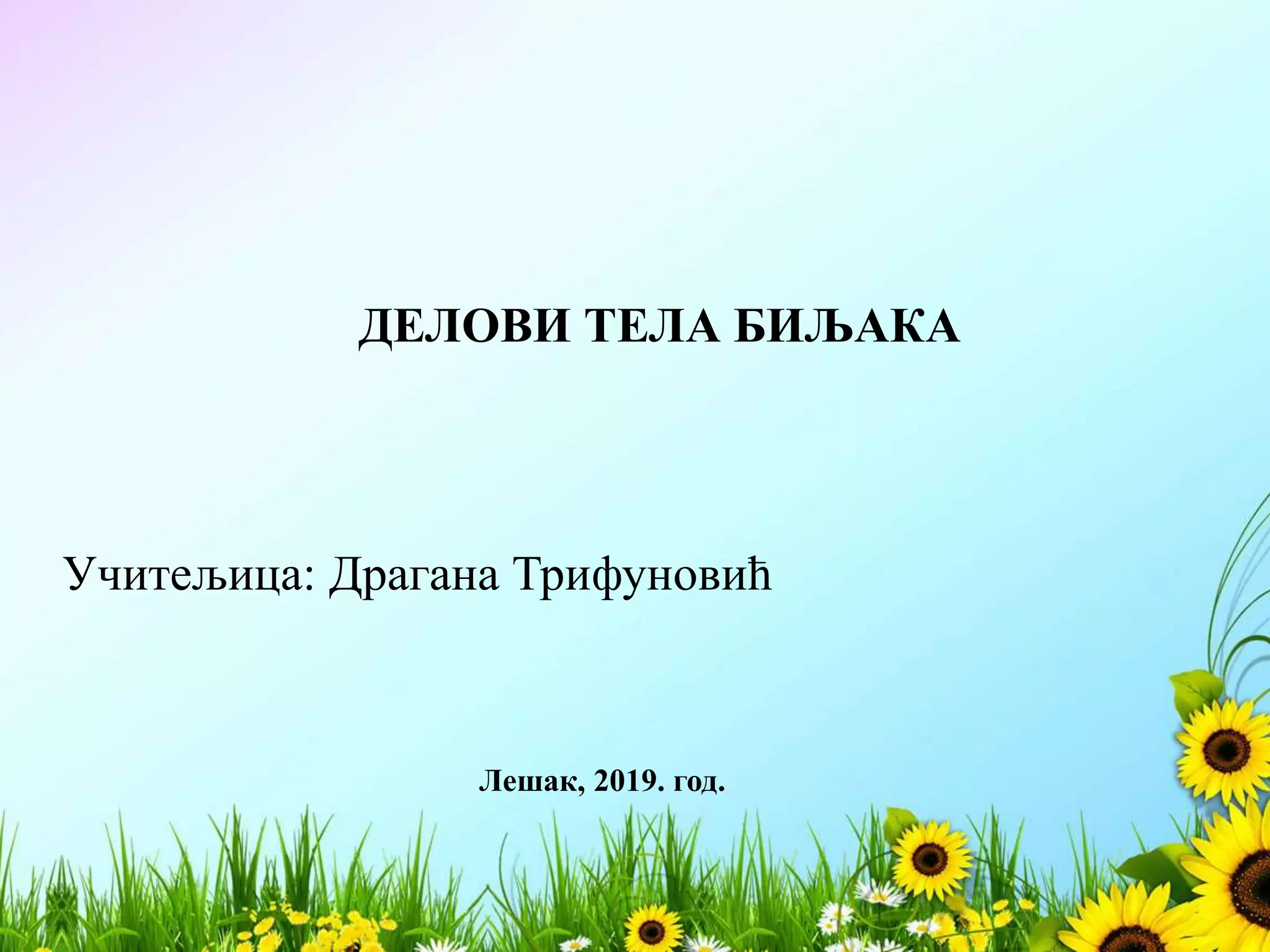 Prezentacija delovi tela biljke | PPTX