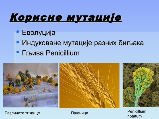 Mutacije | PPT