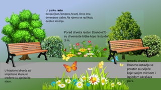 Prezentacija park | PPT