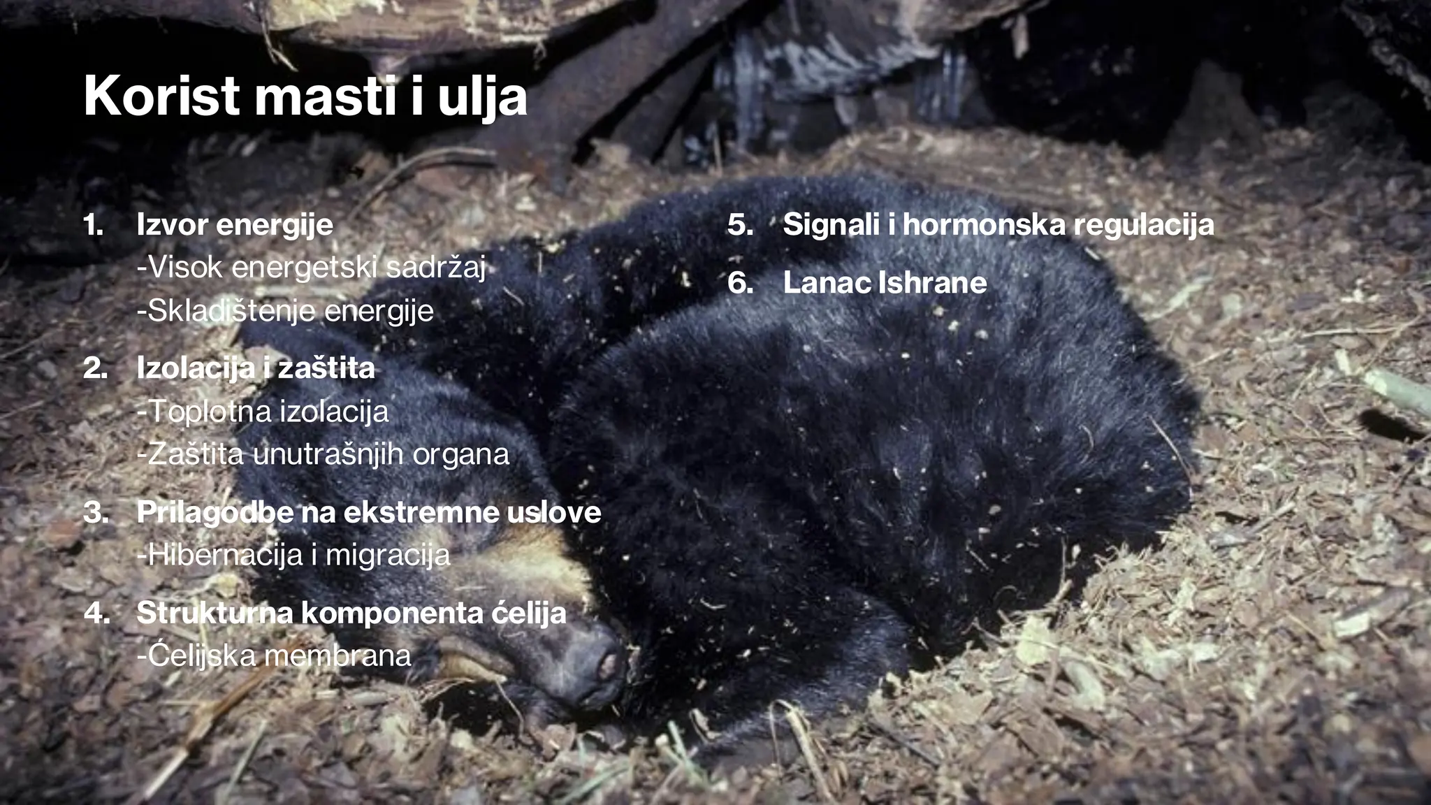 prezentacija za hemiju "masti i ulja" aa | PDF