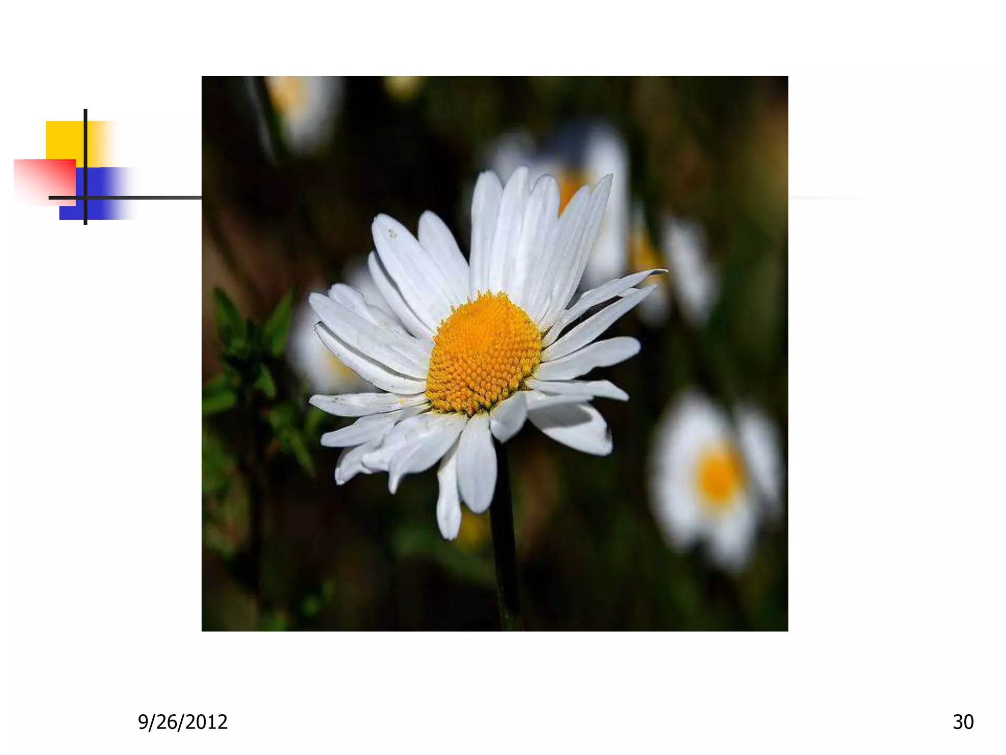 Prezentacija bocanje | PPS