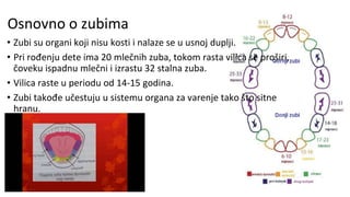PREZENTACIJA O ZUBIMA (1).pptx