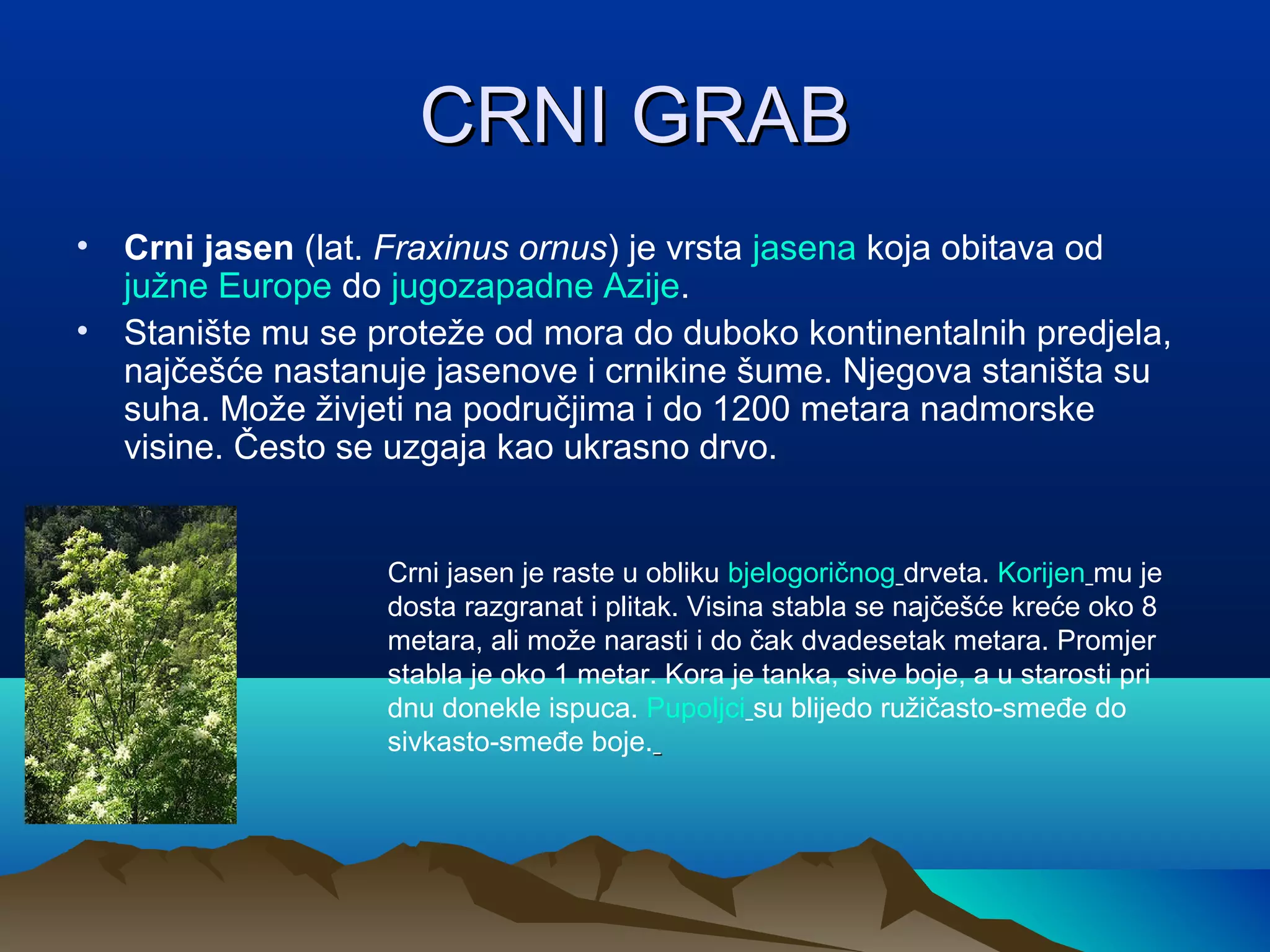Prezentacija prokletija | PPT