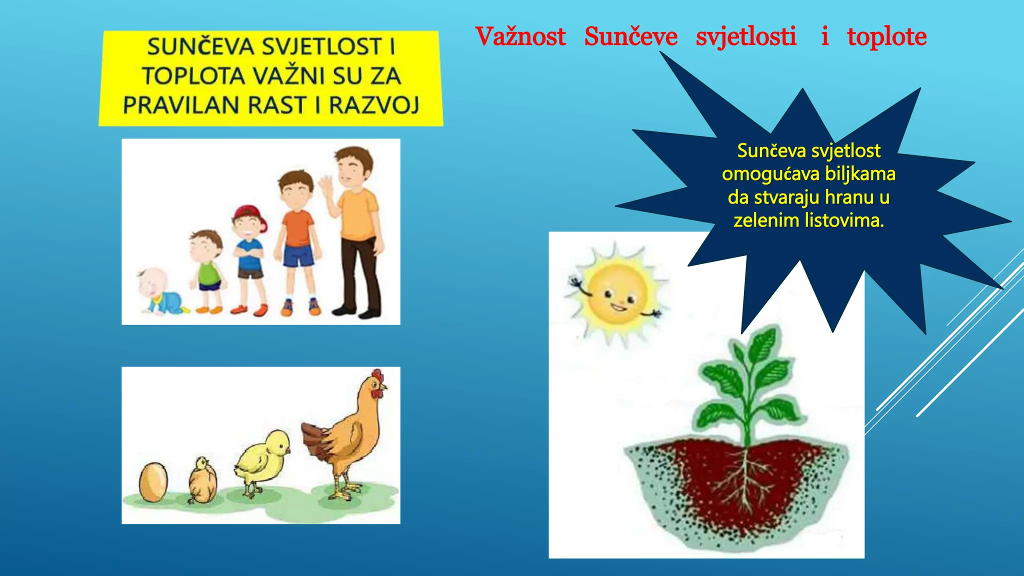 Prezentacija Sunce izvor života (1).pptx