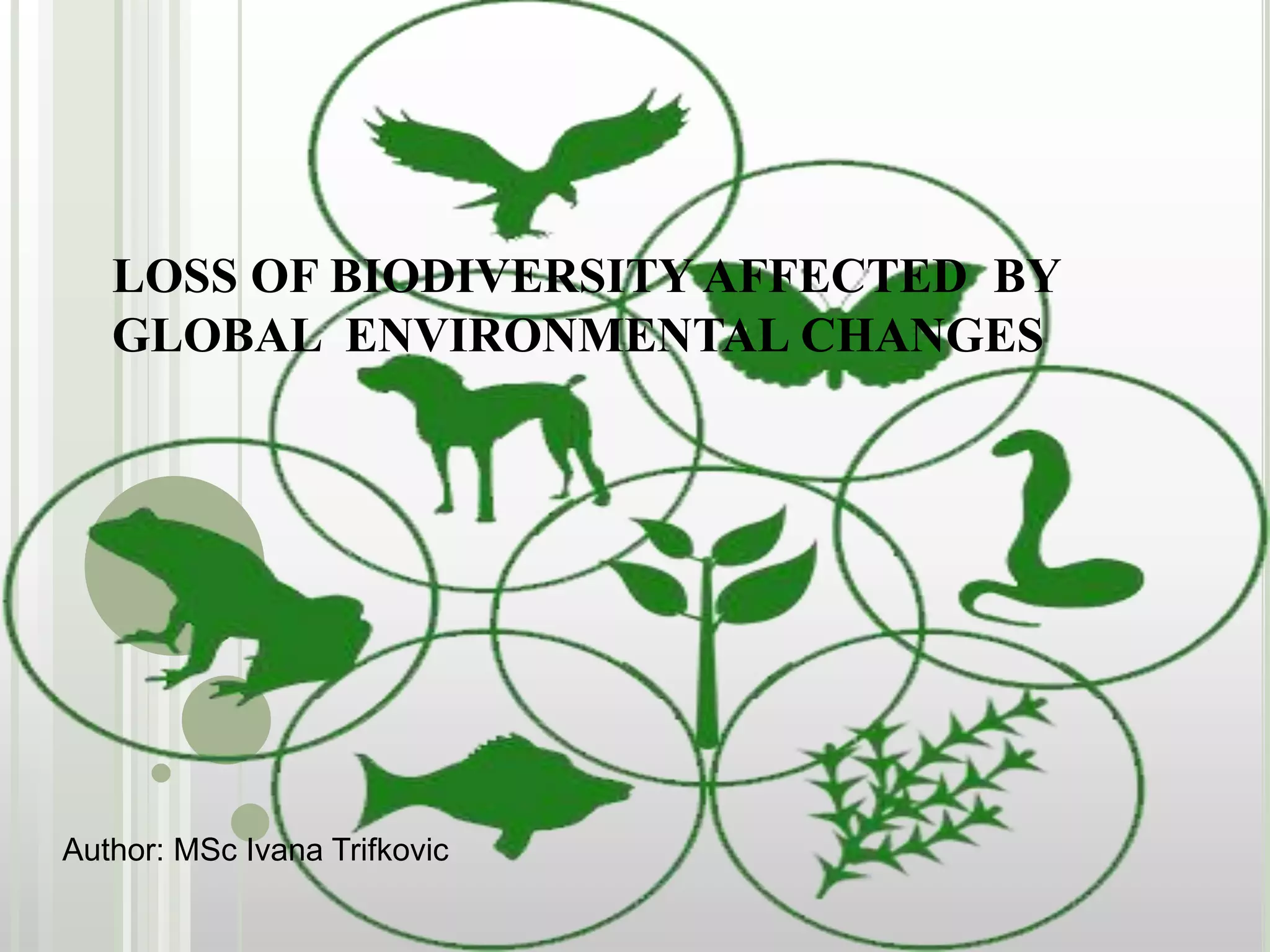 Loss of biodiversity affected by global environmental changes | PPT