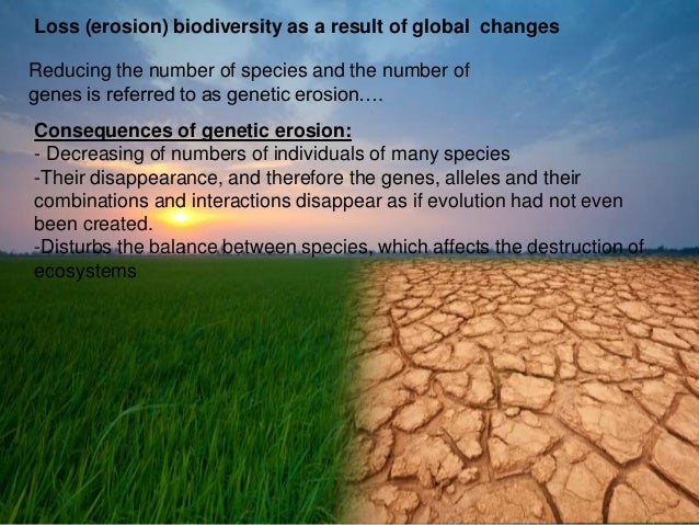 Loss of biodiversity affected by global environmental changes