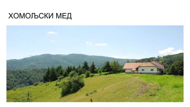 Prezentacija zagubica | PPT