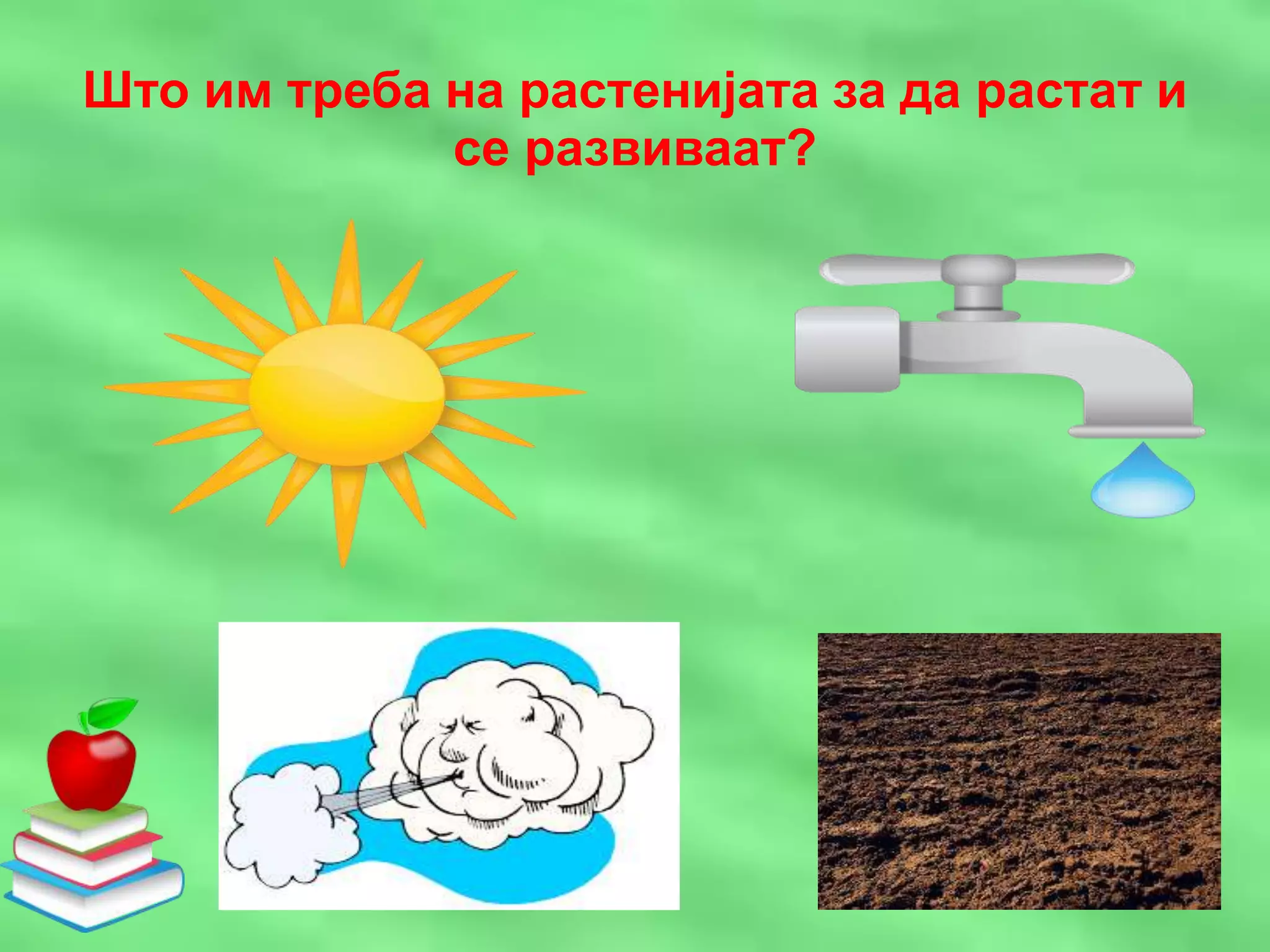 prezentacija za rastenija.ppt