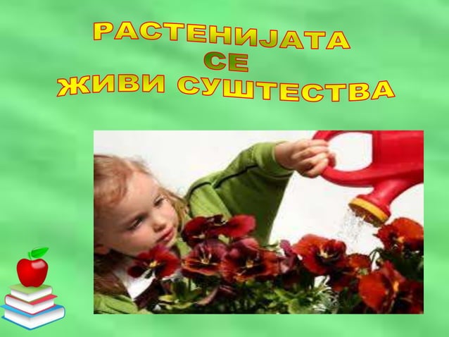 prezentacija za rastenija.ppt