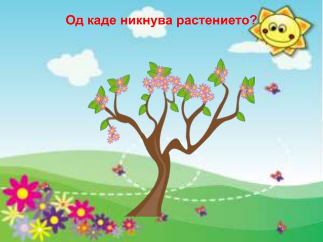 prezentacija za rastenija.ppt