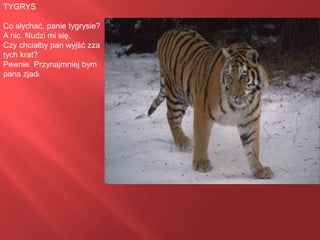 Remigiusz Makuch | PPTX