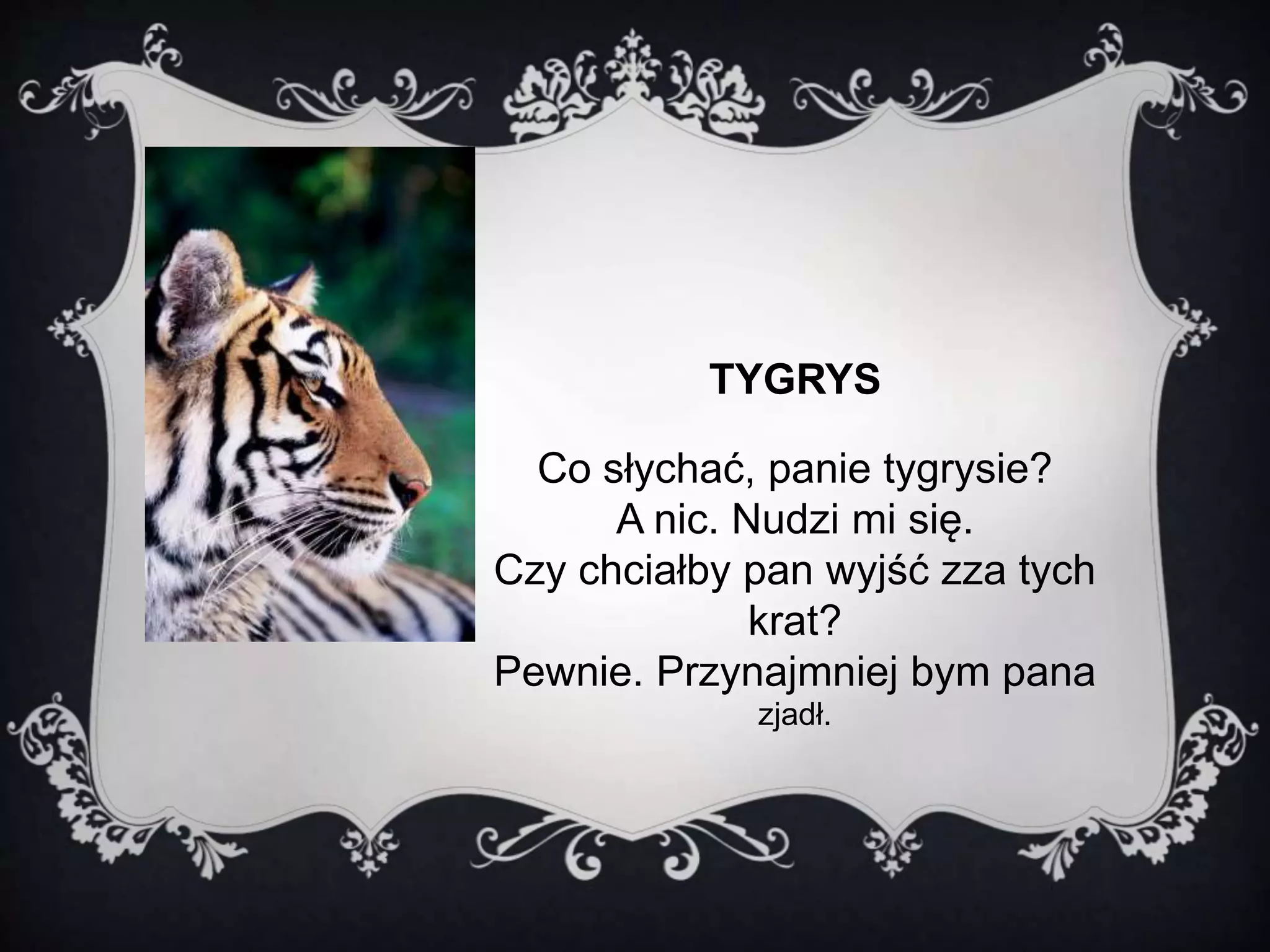 Prezentacja Martyny Nytko | PPTX