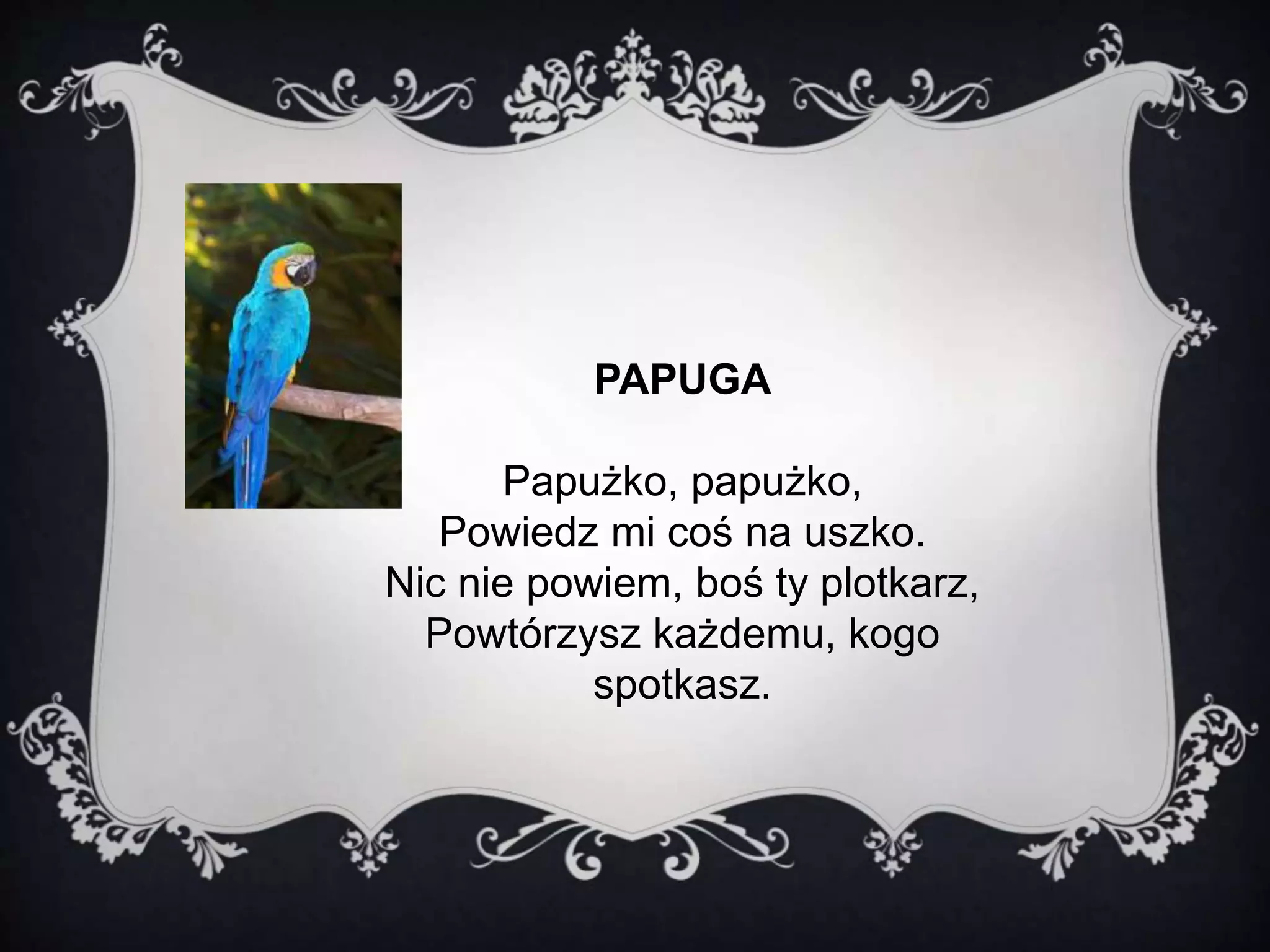 Prezentacja Martyny Nytko | PPTX