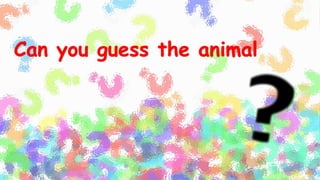 Can you guess the animal? | PPT